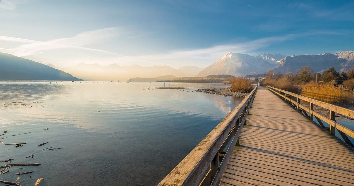 Escursioni panoramiche sul lago di Thun | Lega polmonare svizzera